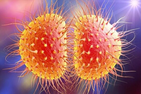 Warts on the testicles: causes, symptoms and treatment - Fastlyheal