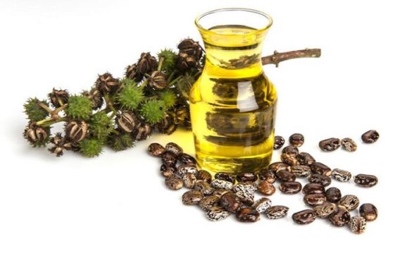 Castor oil as laxative: dosage, Uses and contraindications - Fastlyheal